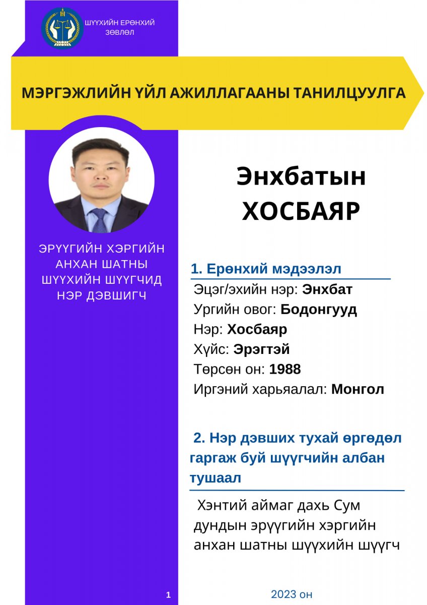 Эрүүгийн хэргийн анхан шатны шүүхийн шүүгчид нэр дэвшигчдийн мэргэжлийн